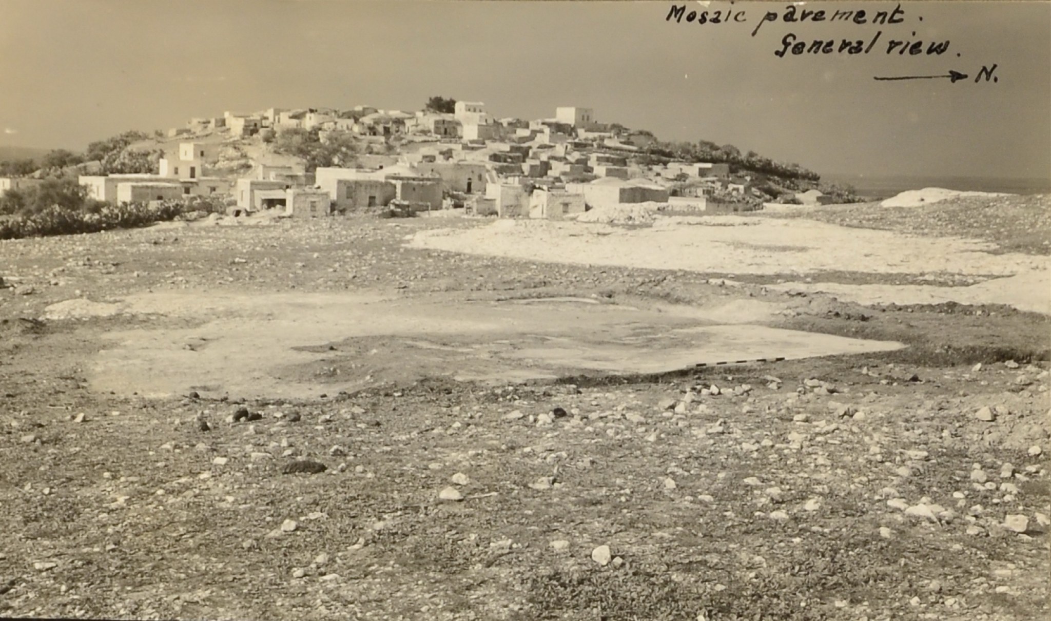 The Al-Haditha Project – Tel Hadid Expedition